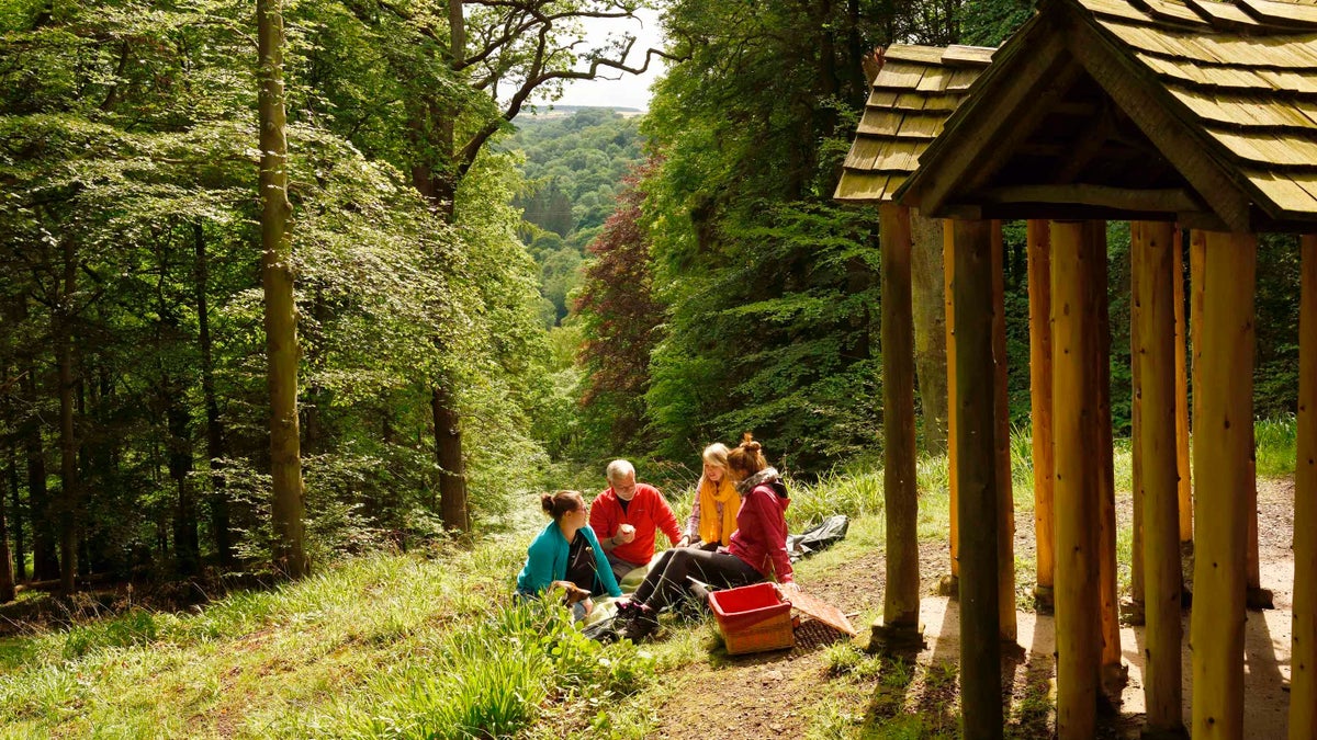 Allen Banks and Staward Gorge's history | National Trust