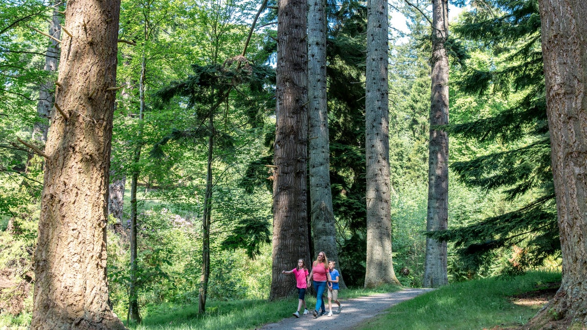 Visiting Cragside's garden │ Northumberland | National Trust
