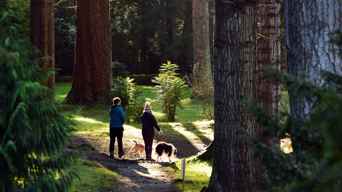 Explore Cragside's garden │ Northumberland | National Trust