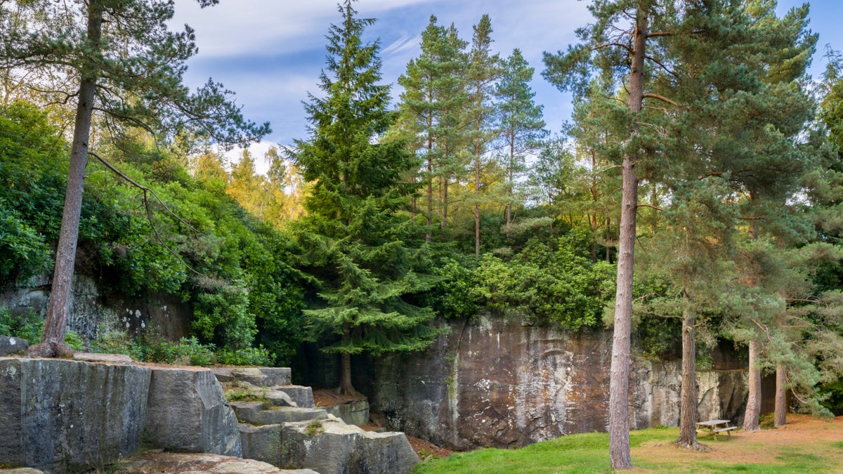 Gun walk at Cragside | National Trust