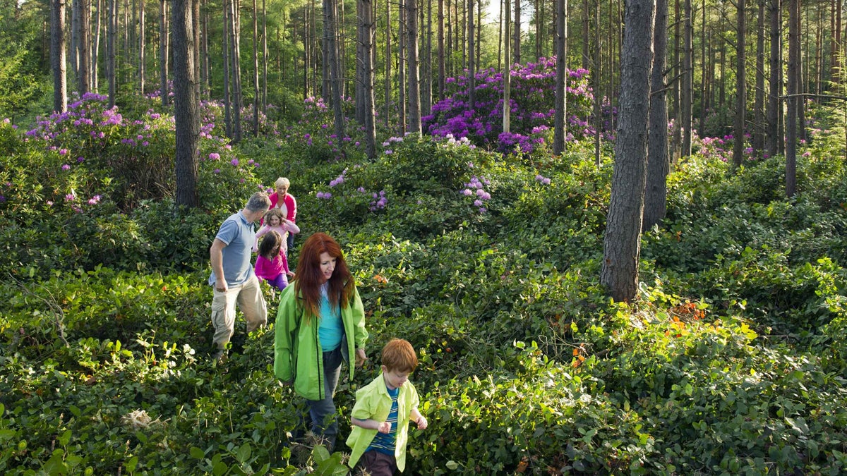 Family friendly Places In North East National Trust family-friendly-places-in-north-east-national-trust