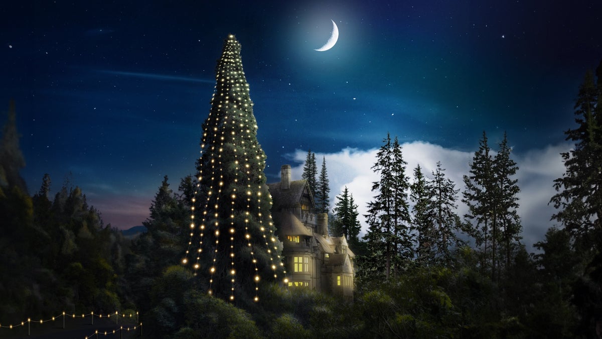 Cragside Christmas: Spirits of the Forest | National Trust
