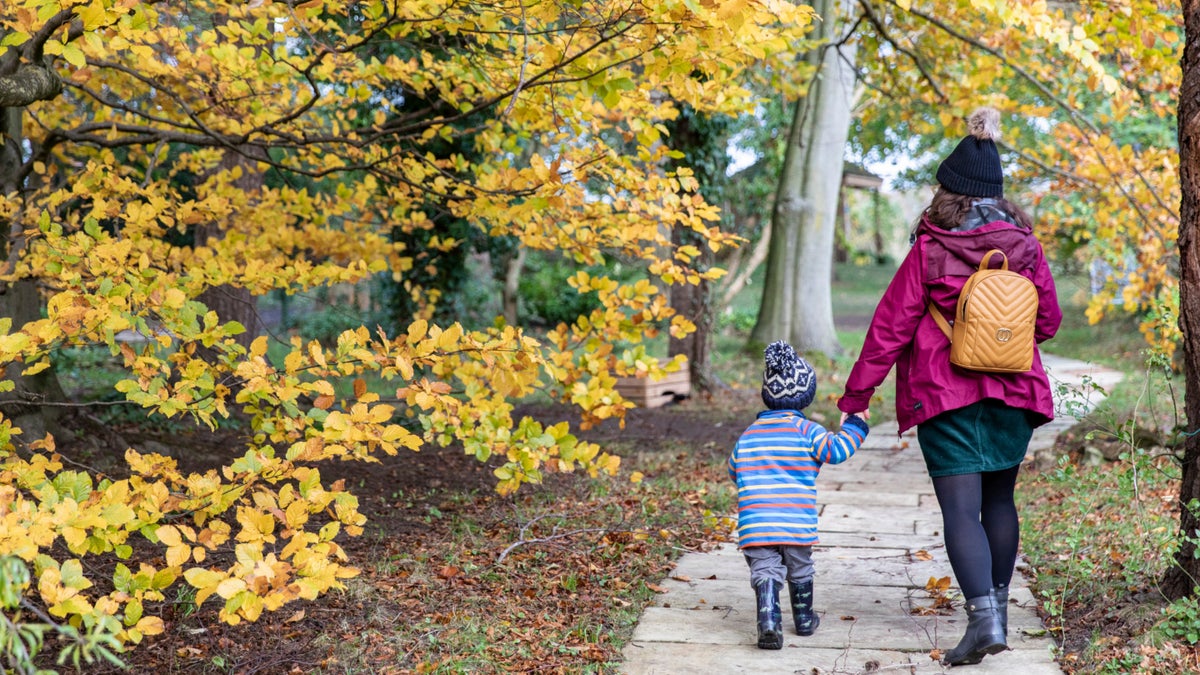 Visiting Crook Hall Gardens | Co Durham | National Trust