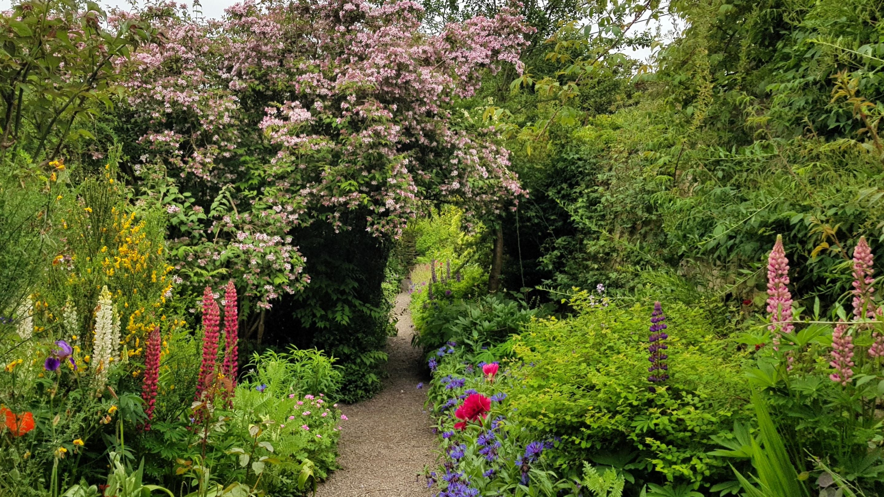 Visiting Crook Hall Gardens | Co Durham | National Trust