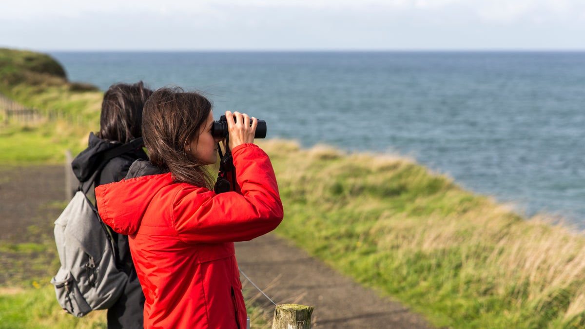 Visiting the Durham Coast | North East | National Trust