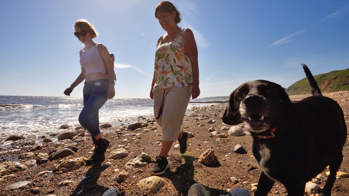 Dogs on the Durham Coast | County Durham | National Trust