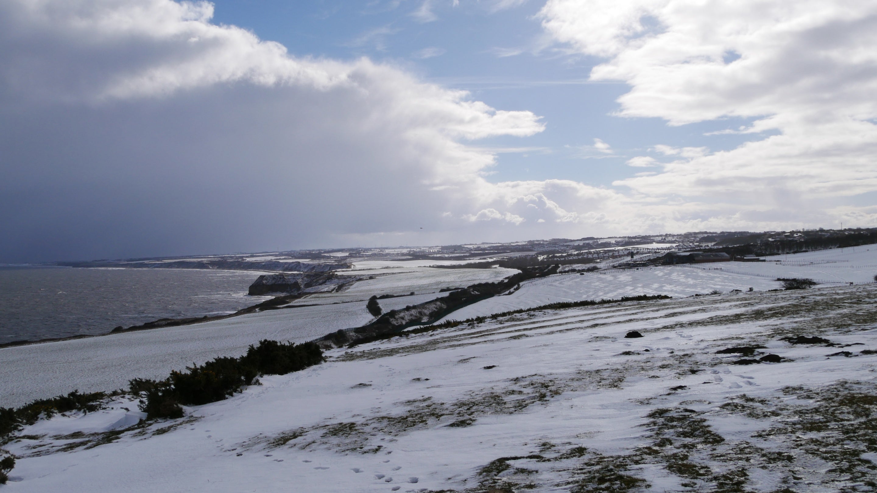 Durham Coast | County Durham | National Trust