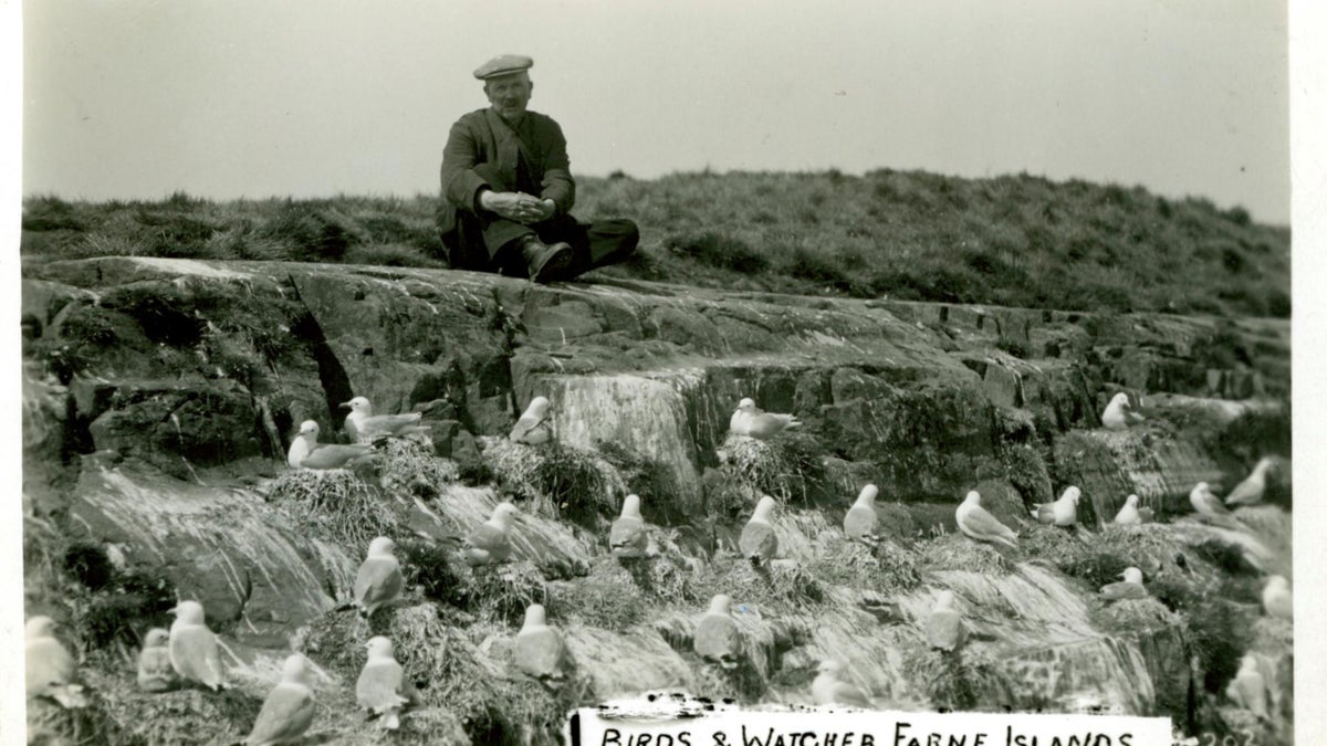 Looking back and looking forwards | National Trust