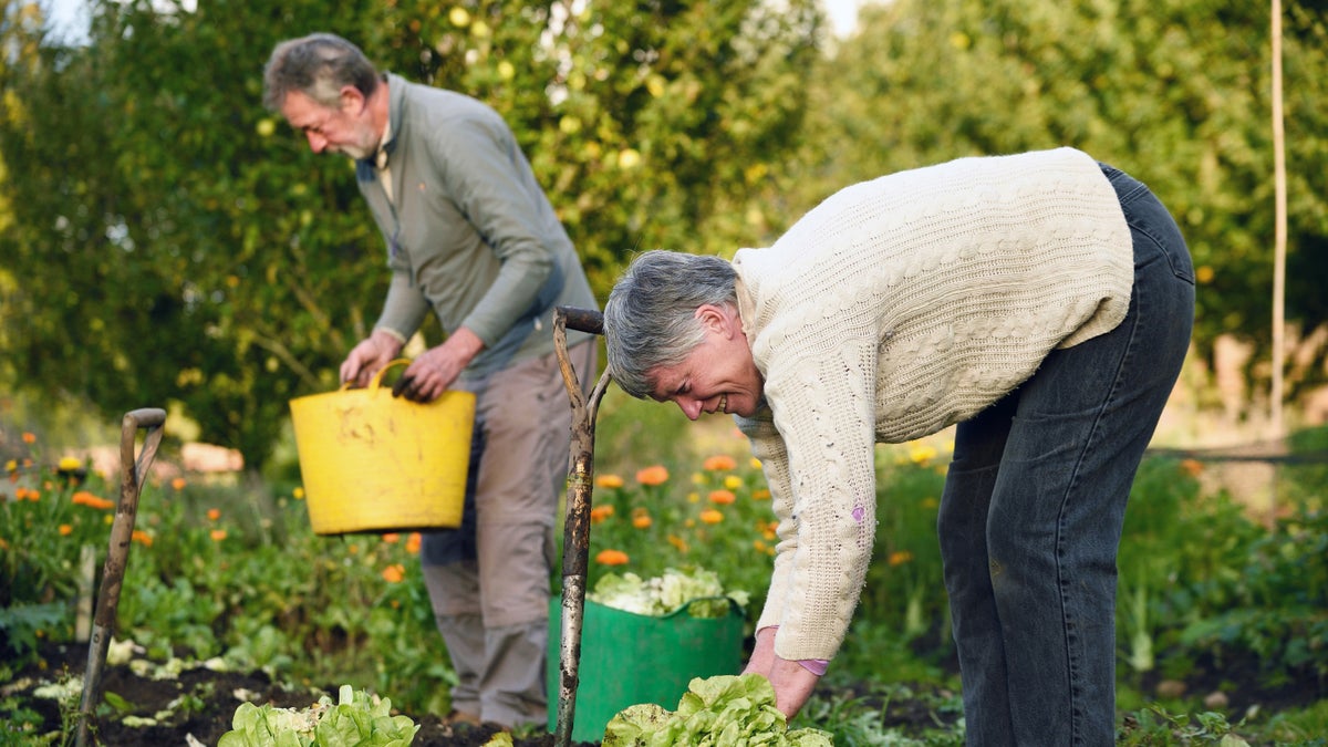 Volunteering at Gibside | Tyne & Wear | National Trust