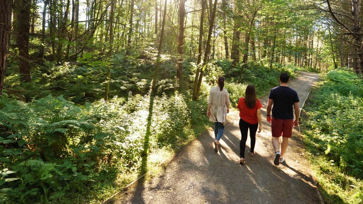 Gibside nature trail | Tyne & Wear | National Trust