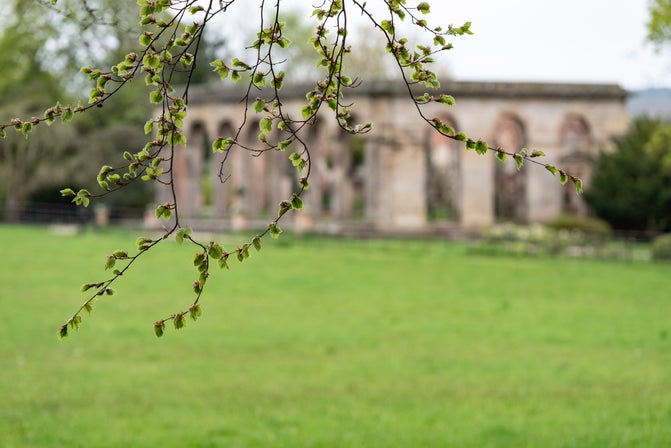 Exploring Gibside | Tyne & Wear | National Trust