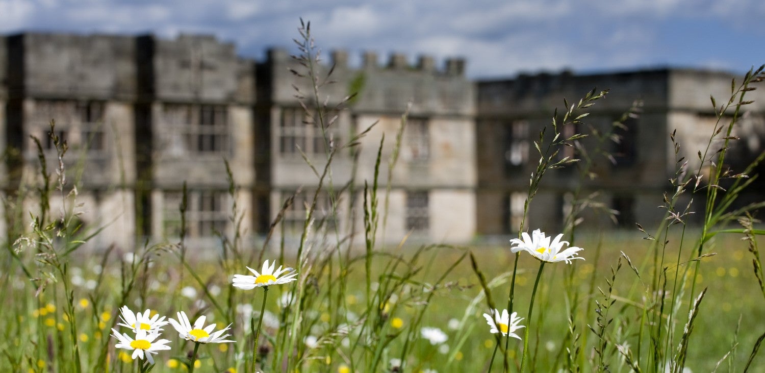 Gibside's history | Tyne & Wear | National Trust