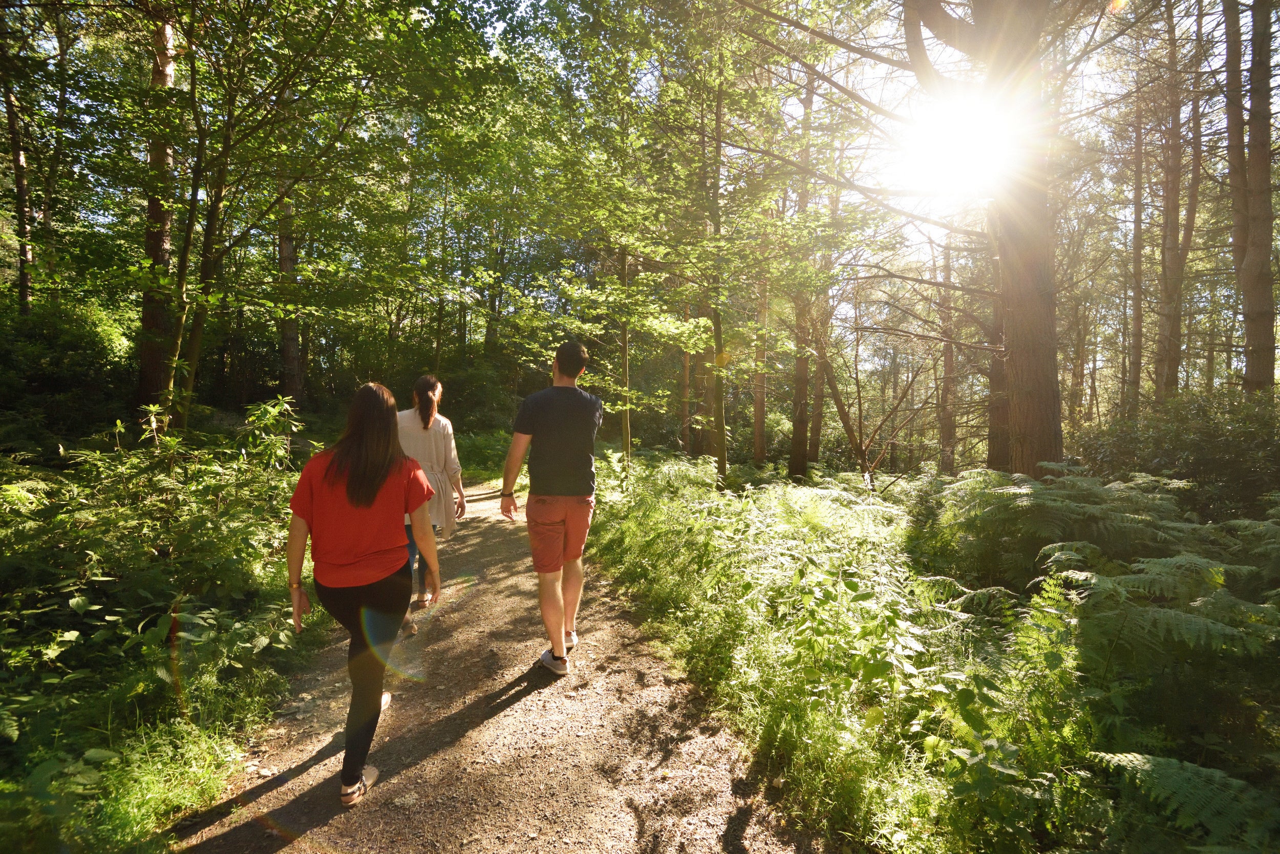 Gibside nature trail | Tyne & Wear | National Trust
