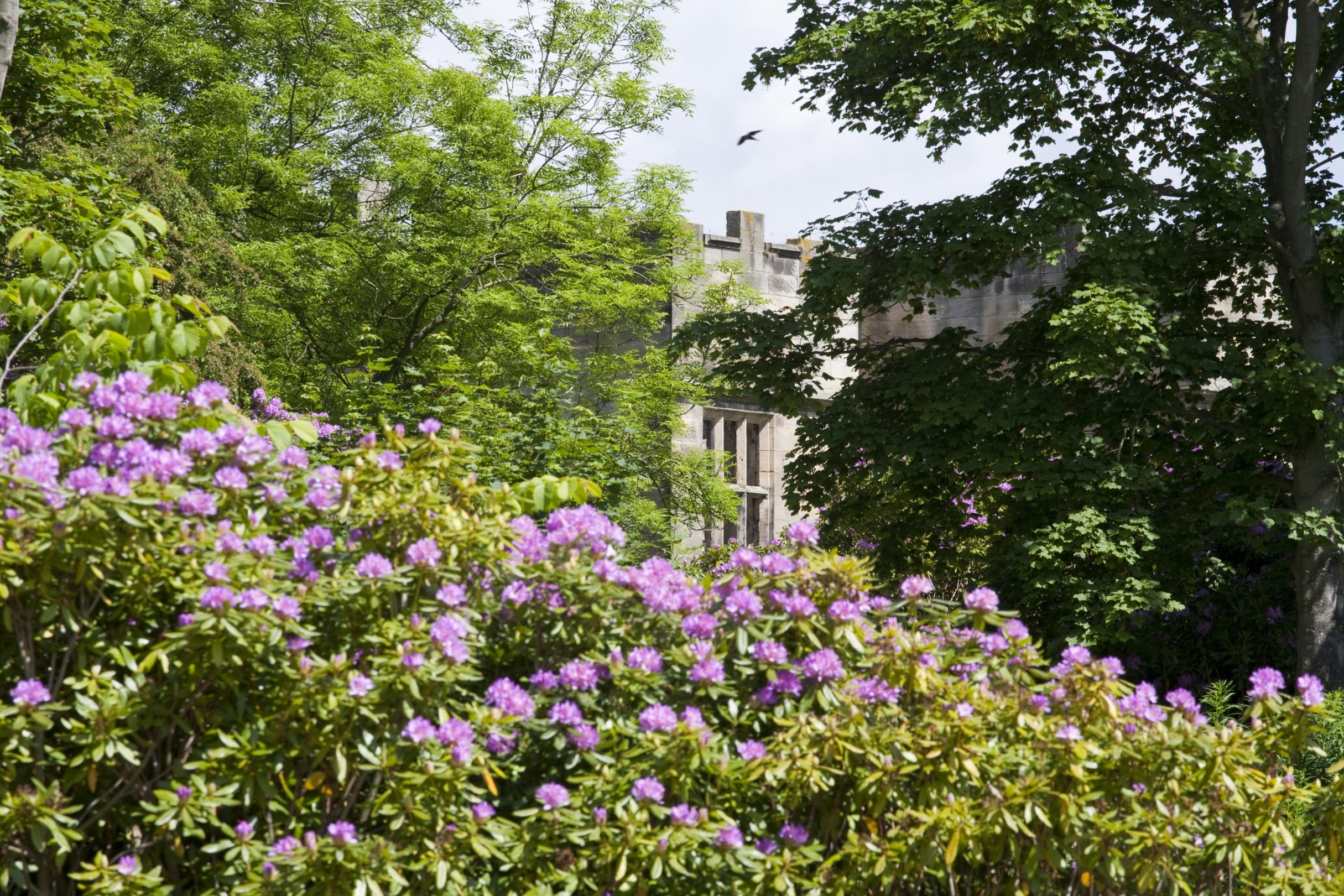 Exploring Gibside | Tyne & Wear | National Trust