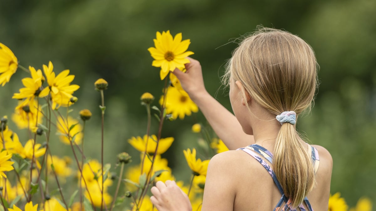 Discover the garden & wildlife at Gibside | National Trust