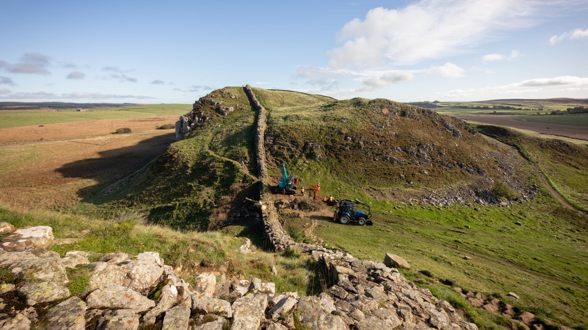 Statement on the Sycamore Gap tree felling | National Trust