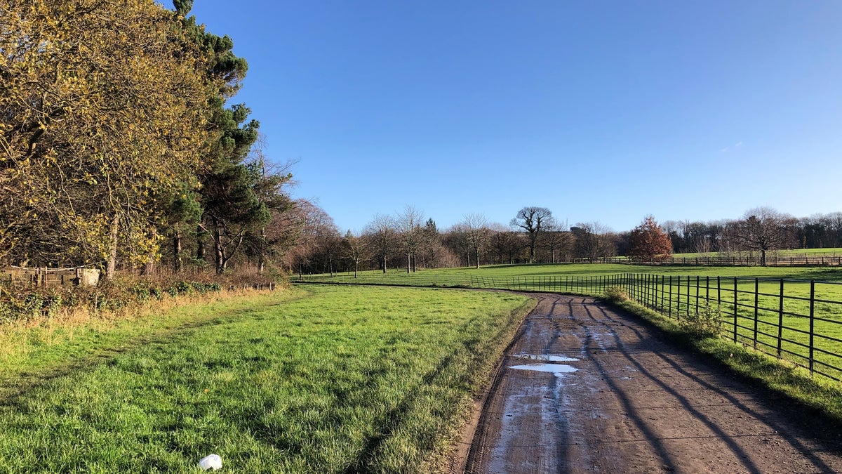 Ormesby Hall short estate walk | Yorkshire | National Trust