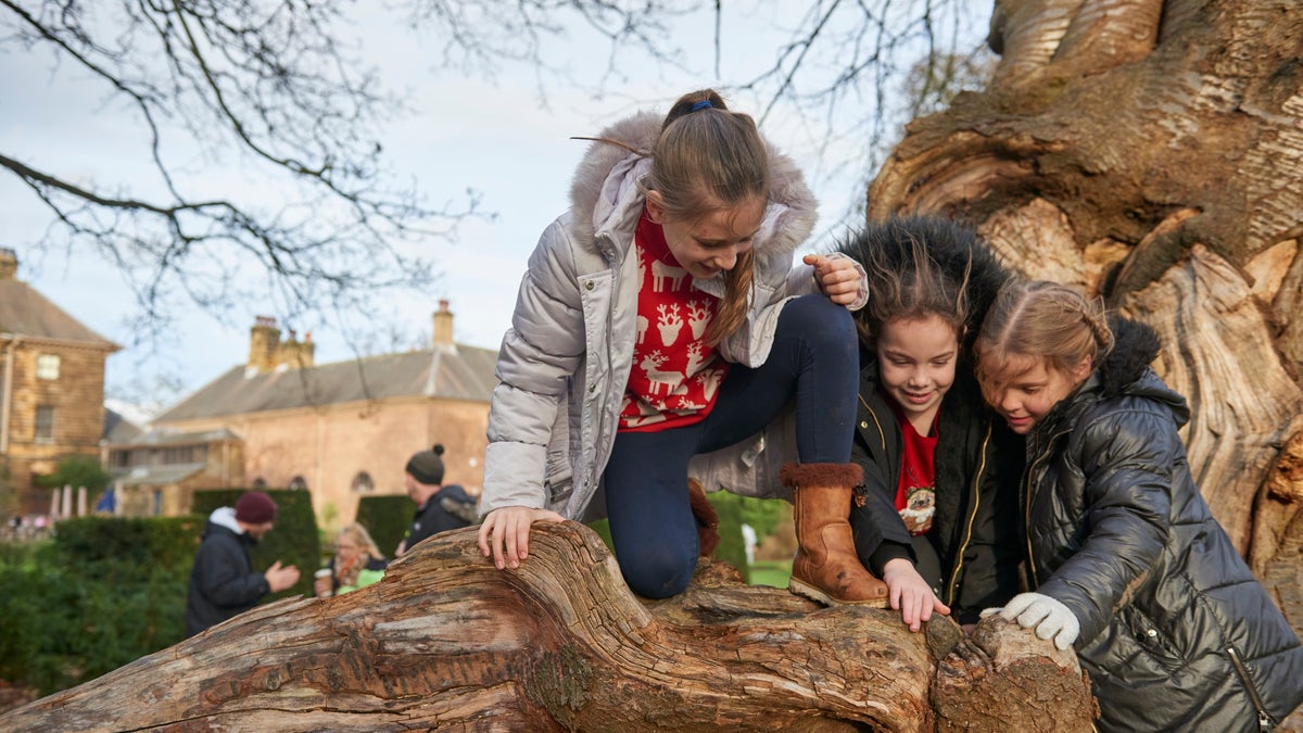 Visiting Ormesby Hall garden | N Yorkshire | National Trust