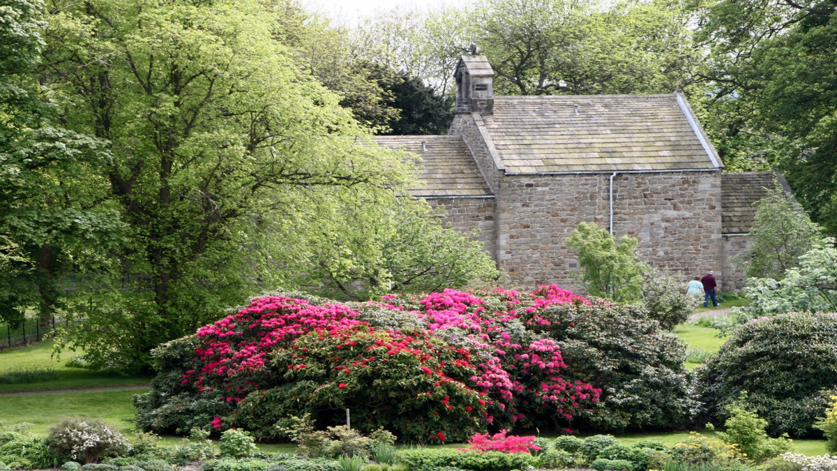 Holywell and Sluice walk | Northumberland | National Trust