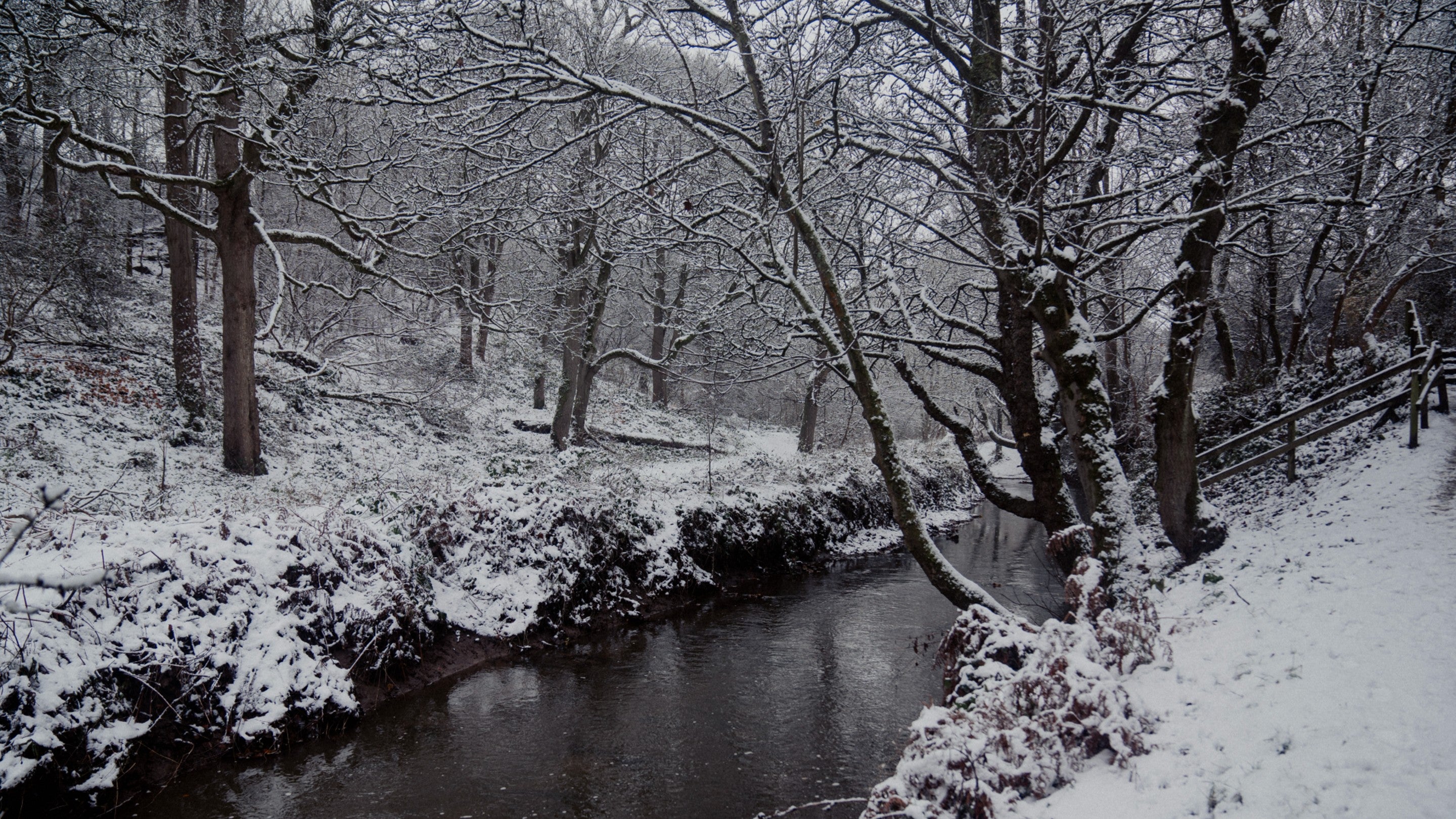 Holywell Dene walk | Northumberland | National Trust
