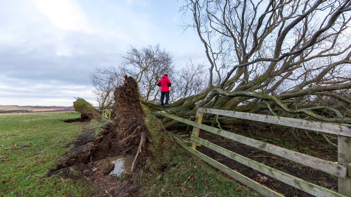 Working with Barbour to recover from Storm | National Trust
