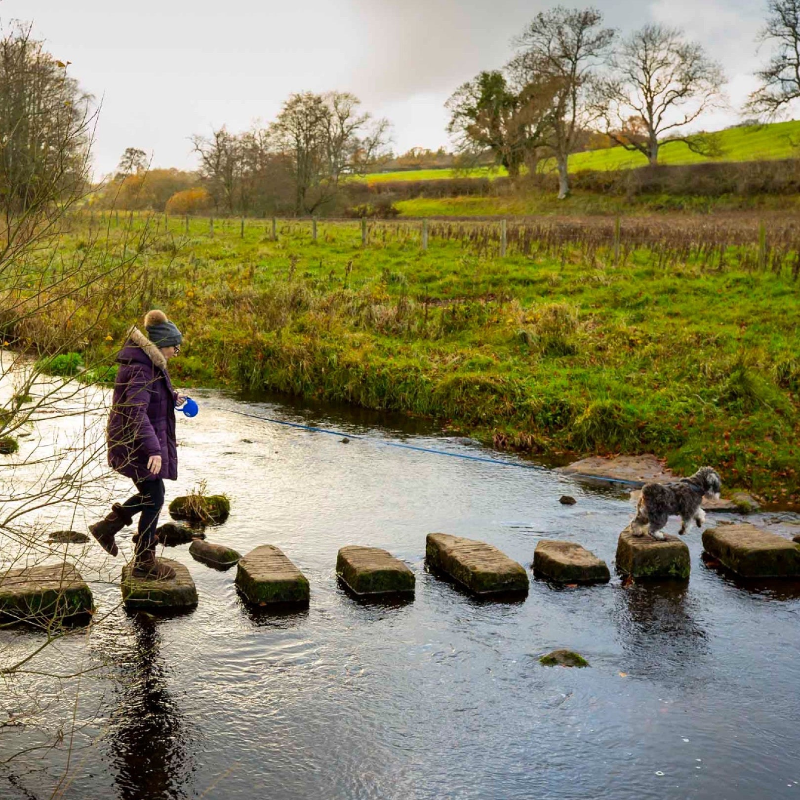 Best Wales coast and sea walks | National Trust