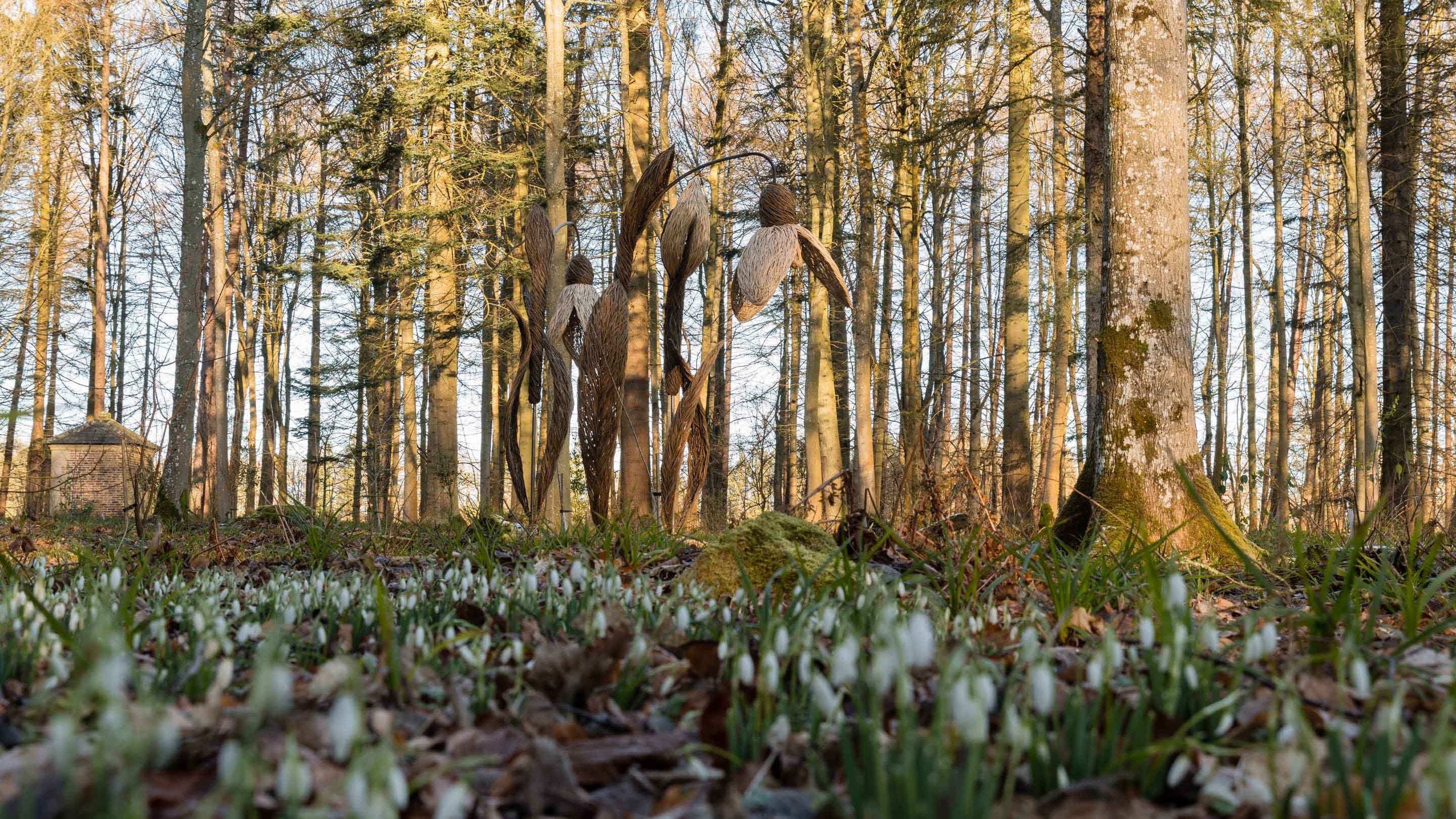 Visit Wallington's garden | Northumberland | National Trust