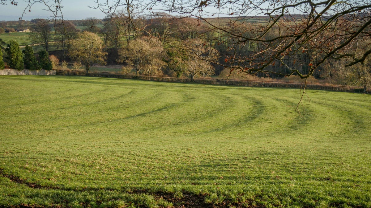 Wallington Green Recovery | Northumberland | National Trust