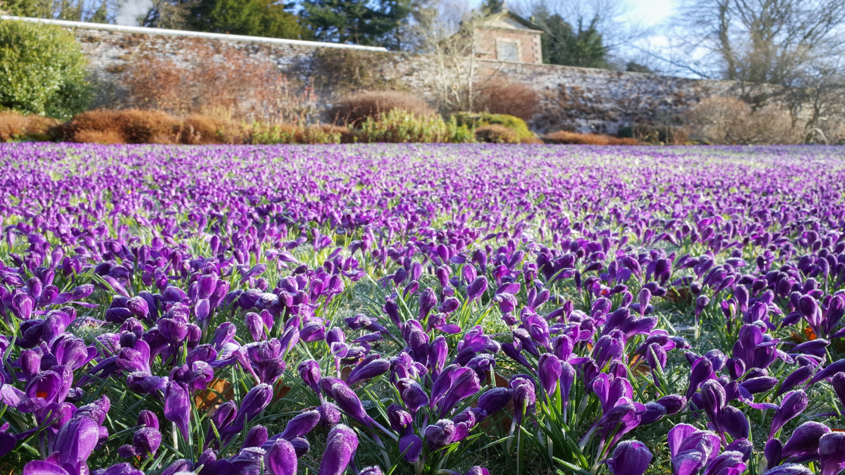 Visiting Wallington's house | North East | National Trust