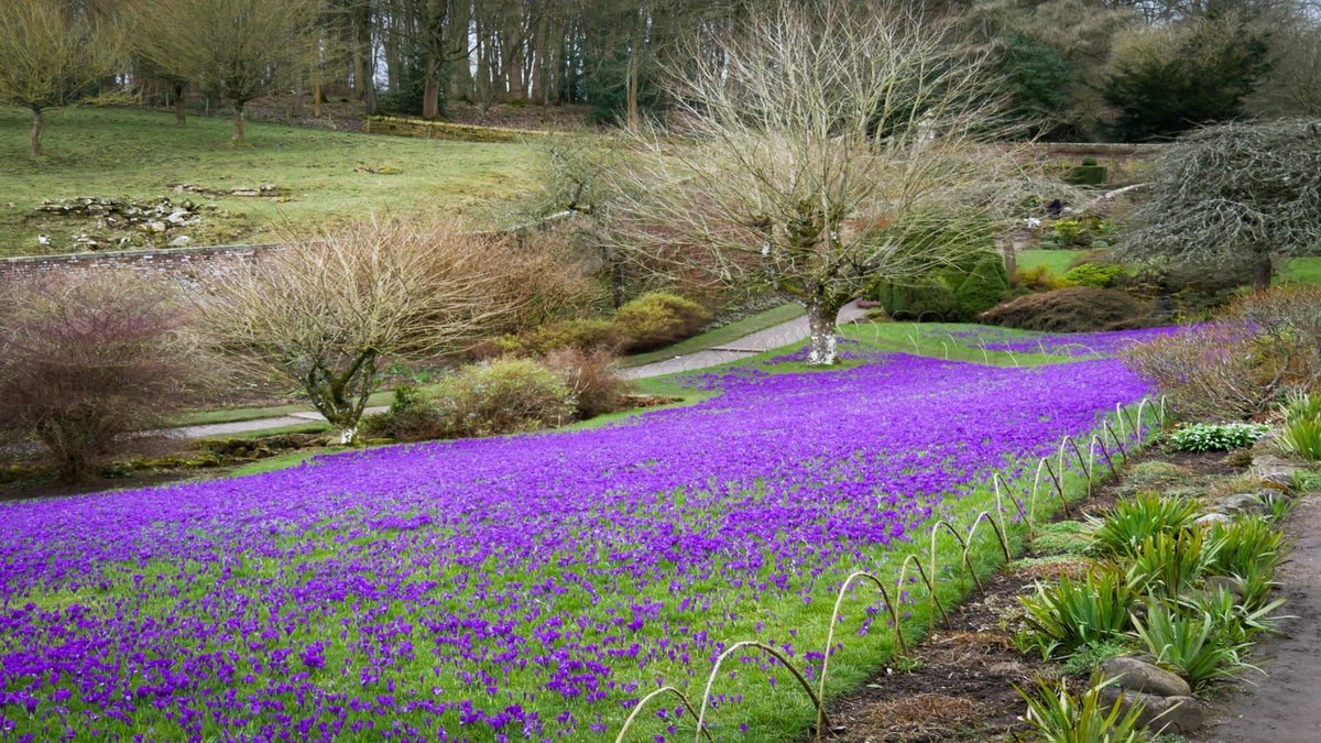Visit Wallington's garden | Northumberland | National Trust