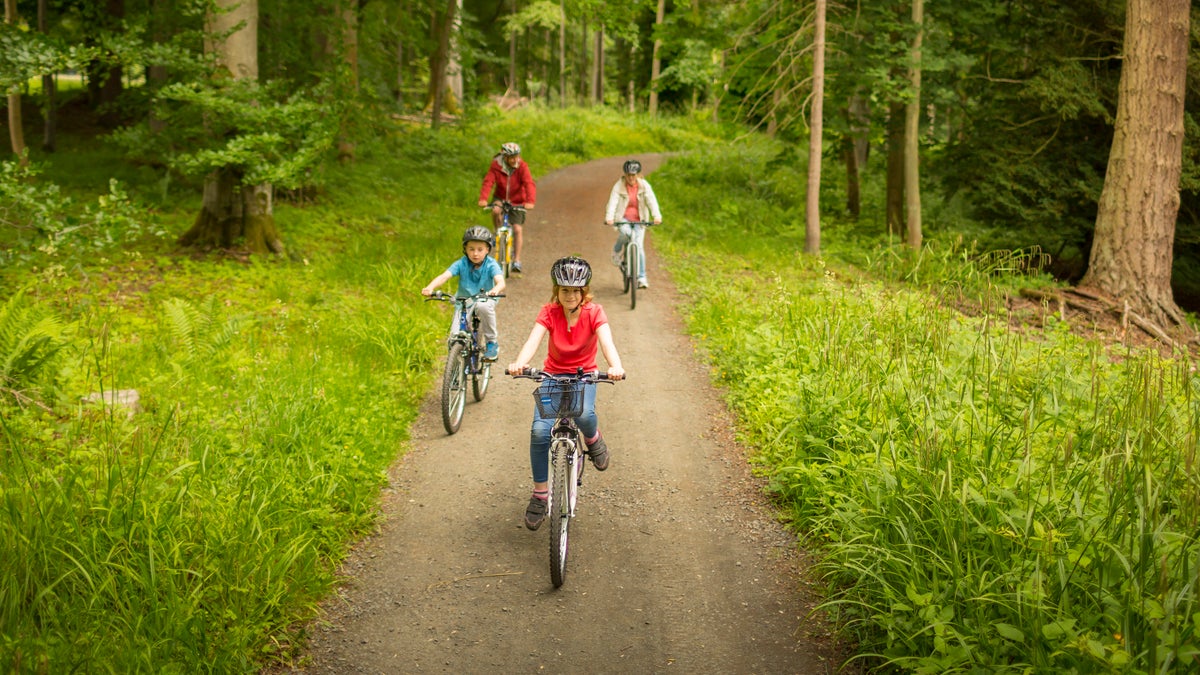 Outdoor activities at Wallington | National Trust