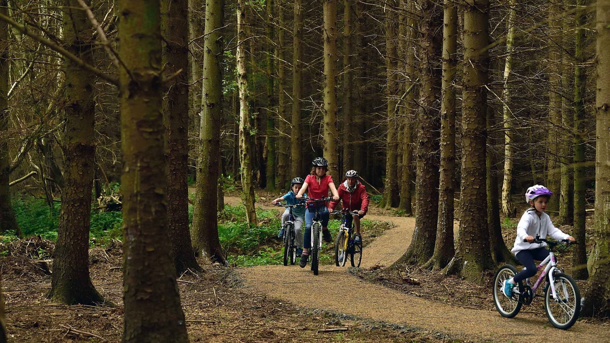 Wallington | Northumberland | National Trust