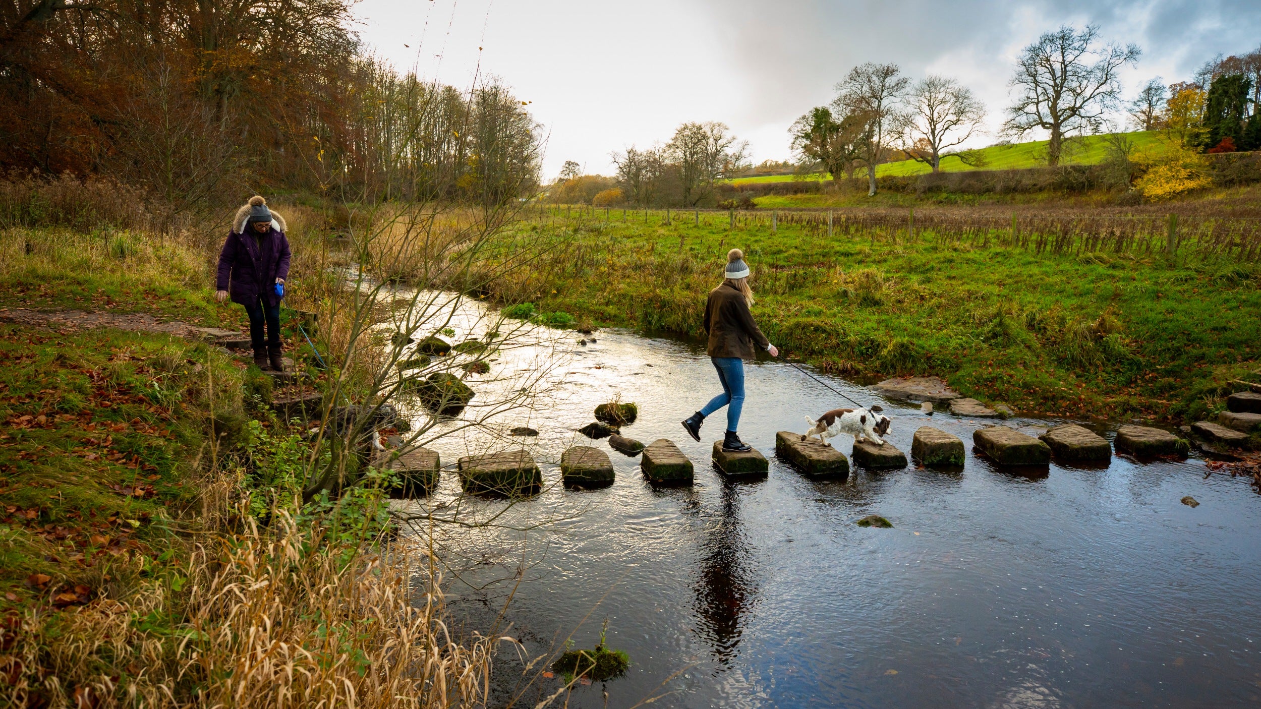 River walk at Wallington | Northumberland | National Trust