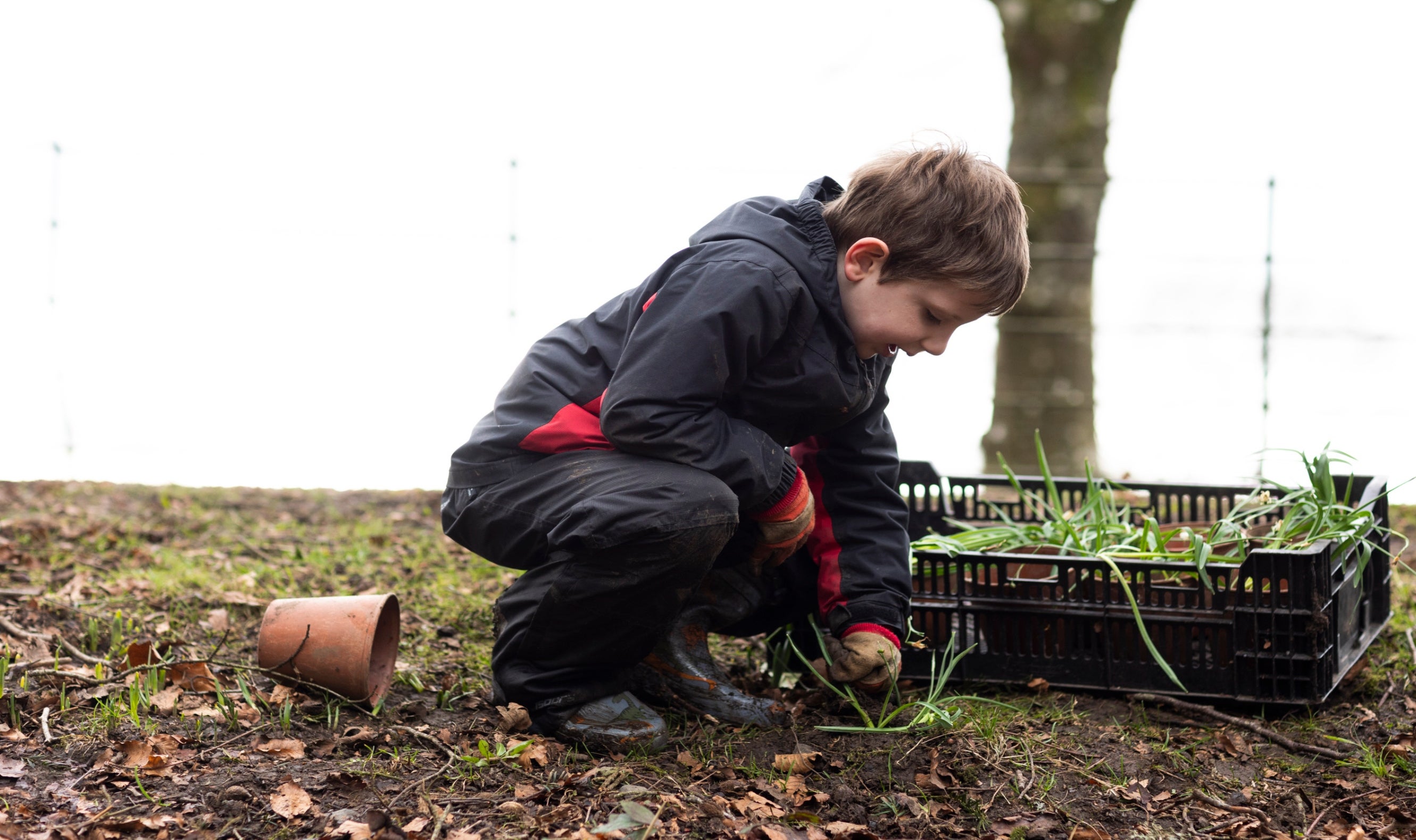 Visit Wallington's garden | Northumberland | National Trust