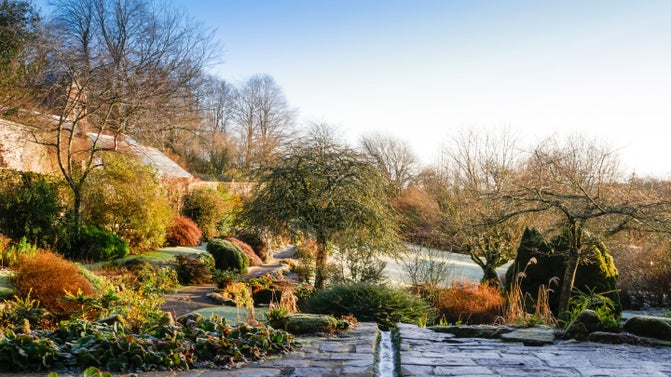 Visit Wallington's garden | Northumberland | National Trust