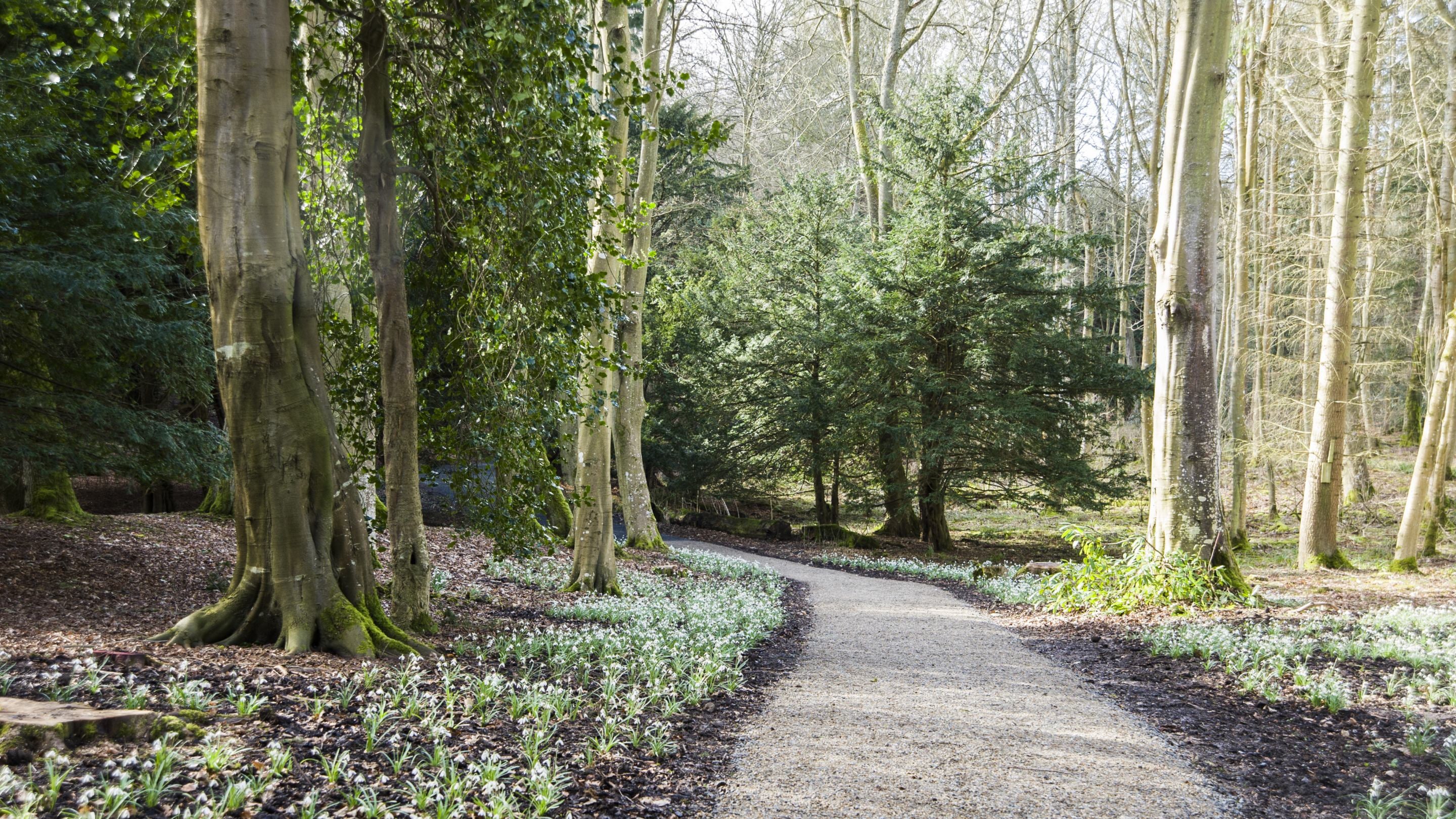Visit Wallington's garden | Northumberland | National Trust