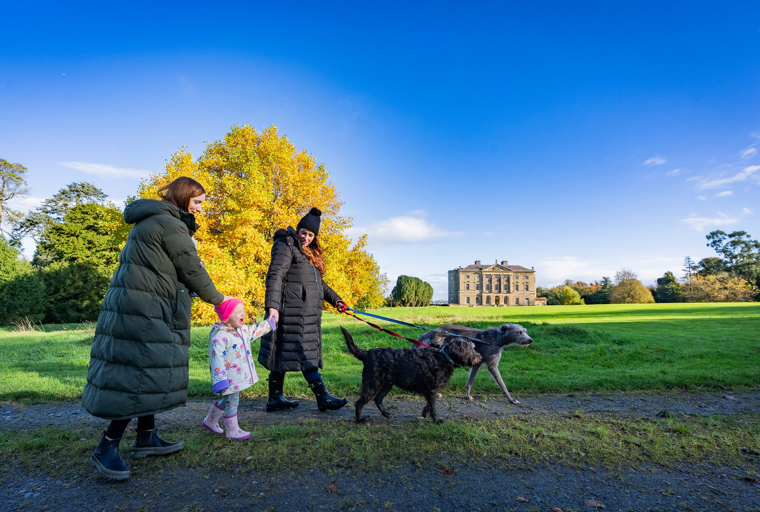 Castle Ward │ Northern Ireland | National Trust
