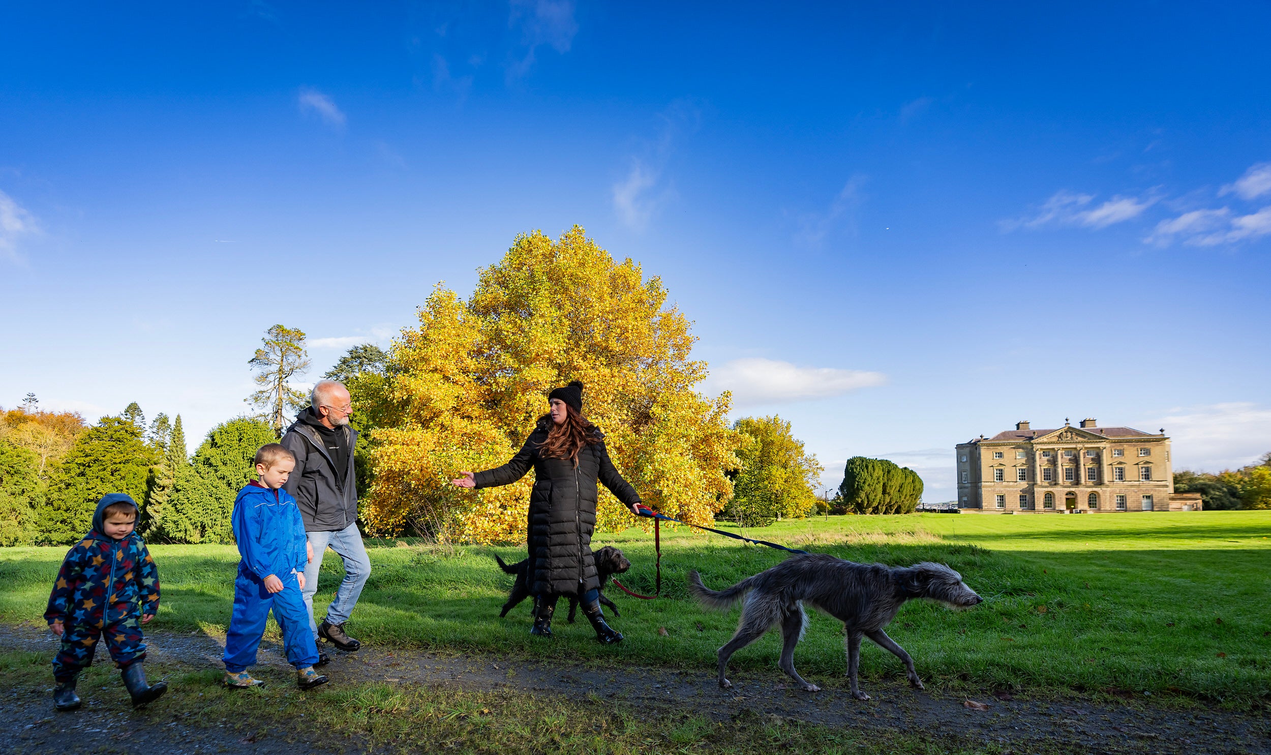 Dog-friendly places in Northern Ireland | National Trust