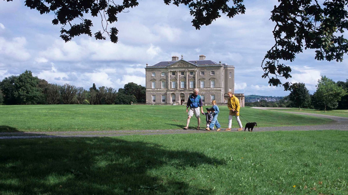 Dog walking at Castle Ward | County Down | National Trust