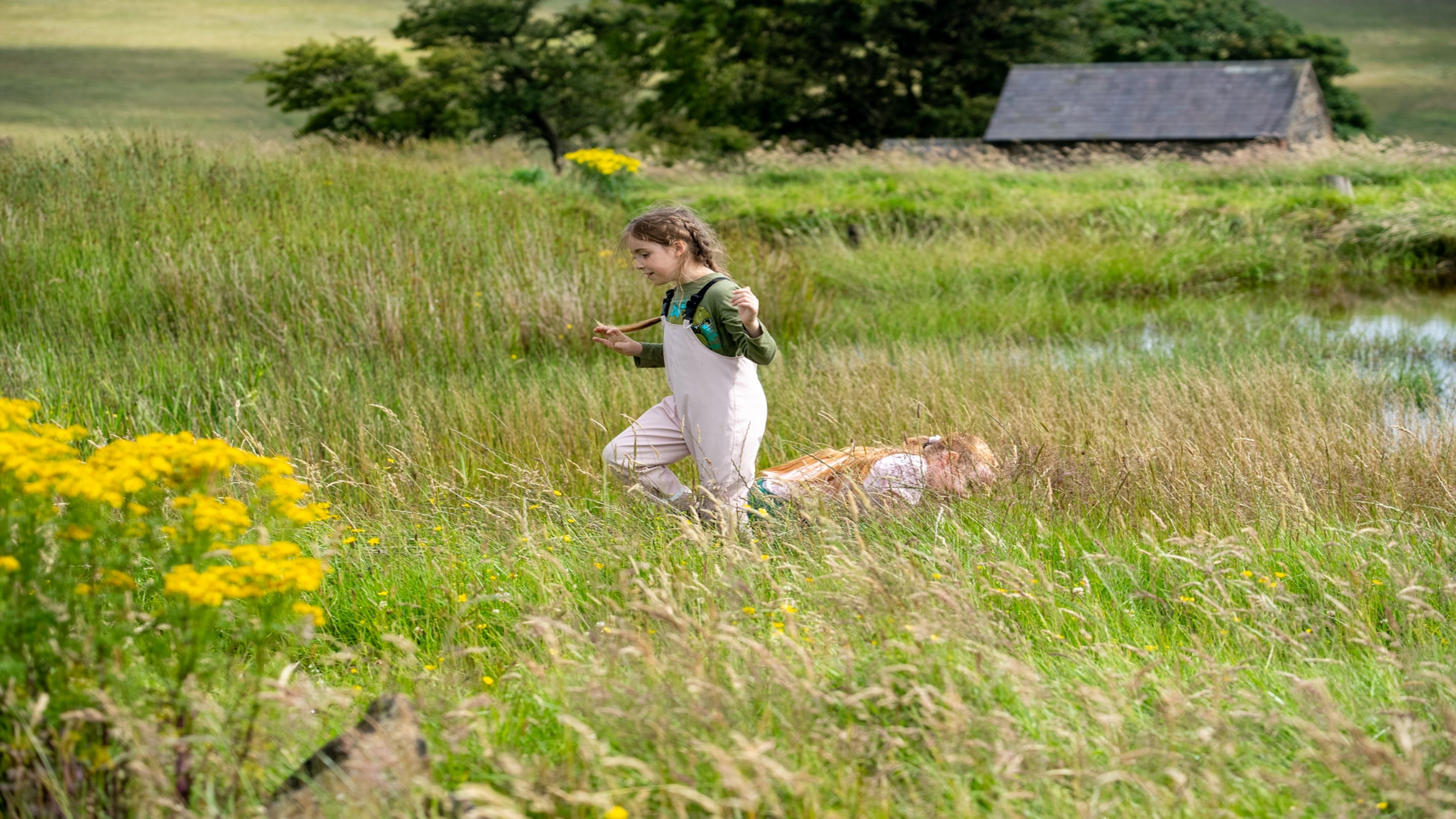 Divis and the Black Mountain | N. Ireland | National Trust
