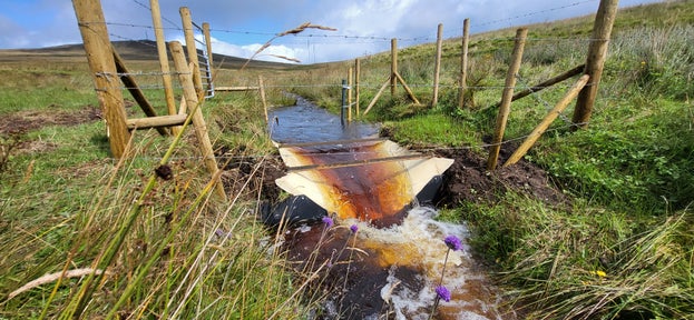 Divis Project | Belfast | National Trust