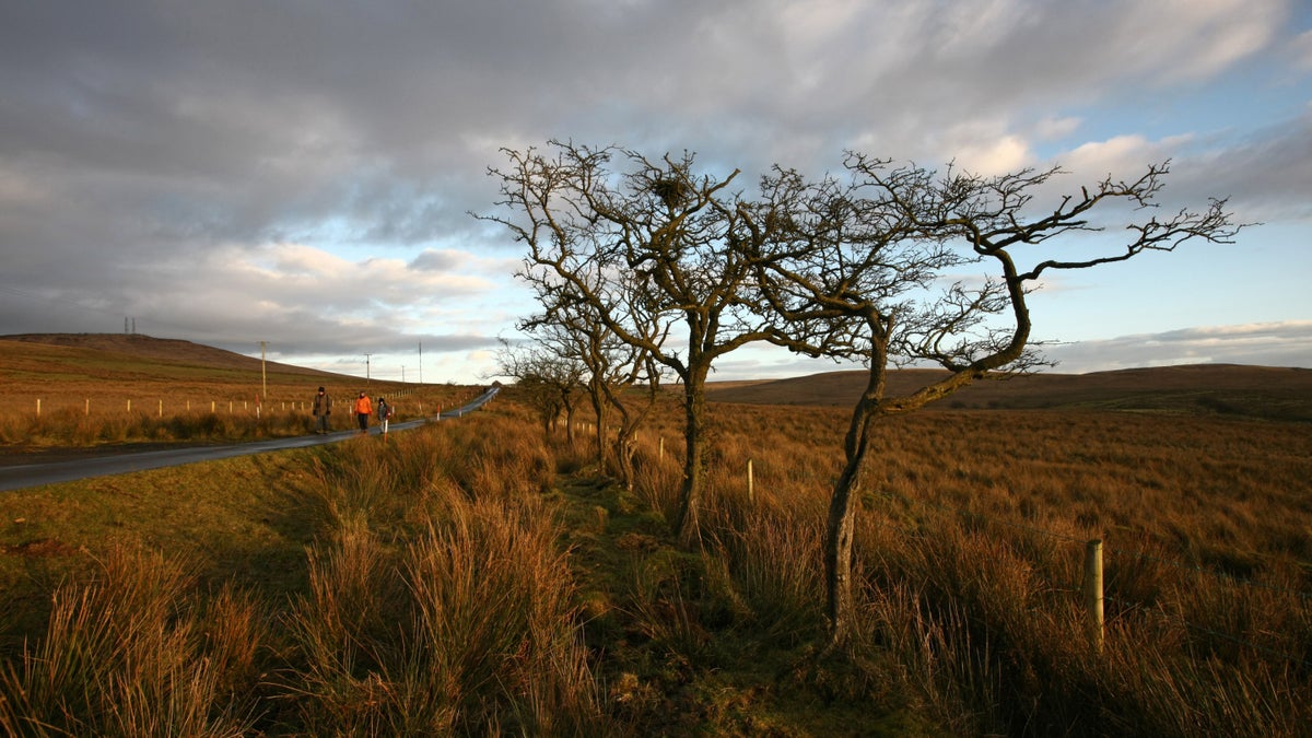 Divis mountain summit trail | Belfast | National Trust
