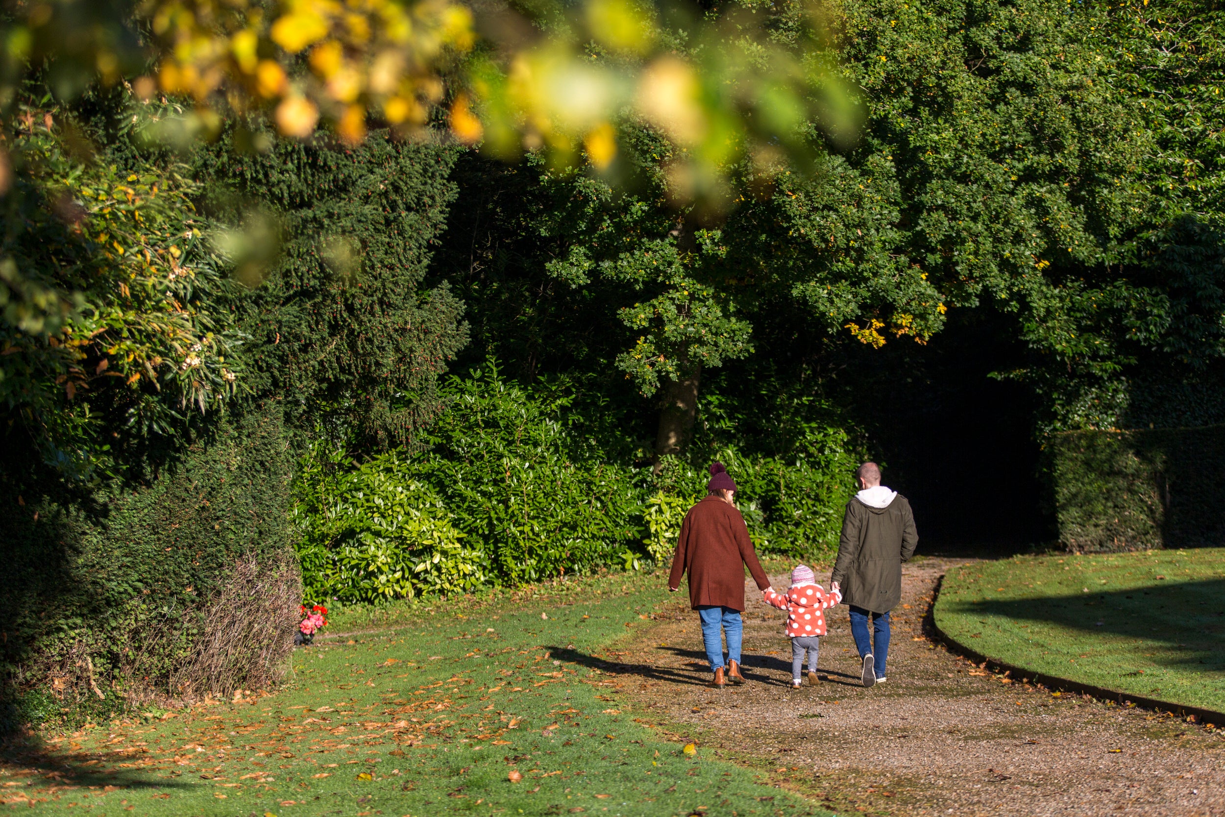 Walking in Northern Ireland | National Trust