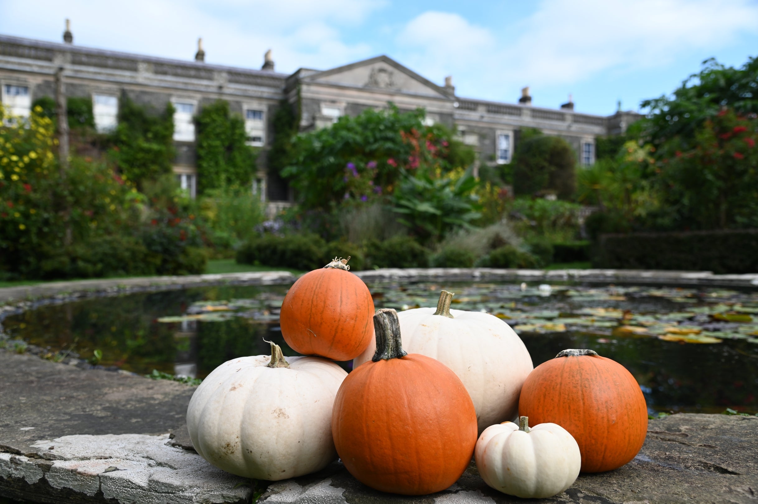 Days out with kids | Mount Stewart | National Trust