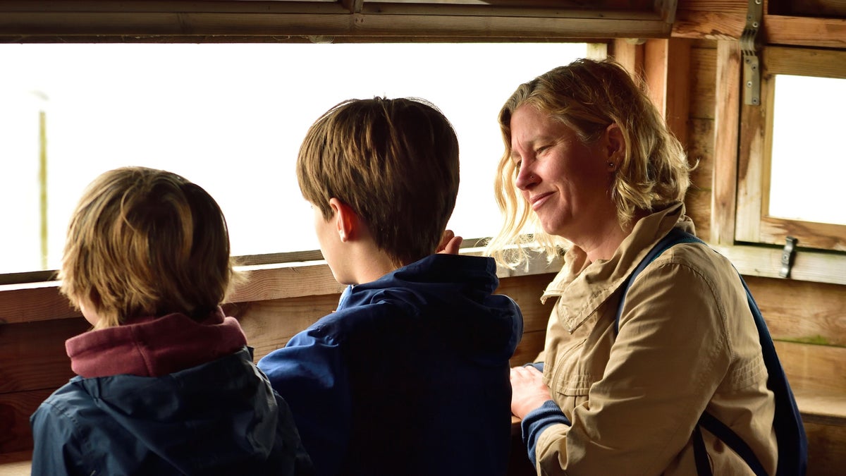 Mount Stewart red squirrel trail | National Trust