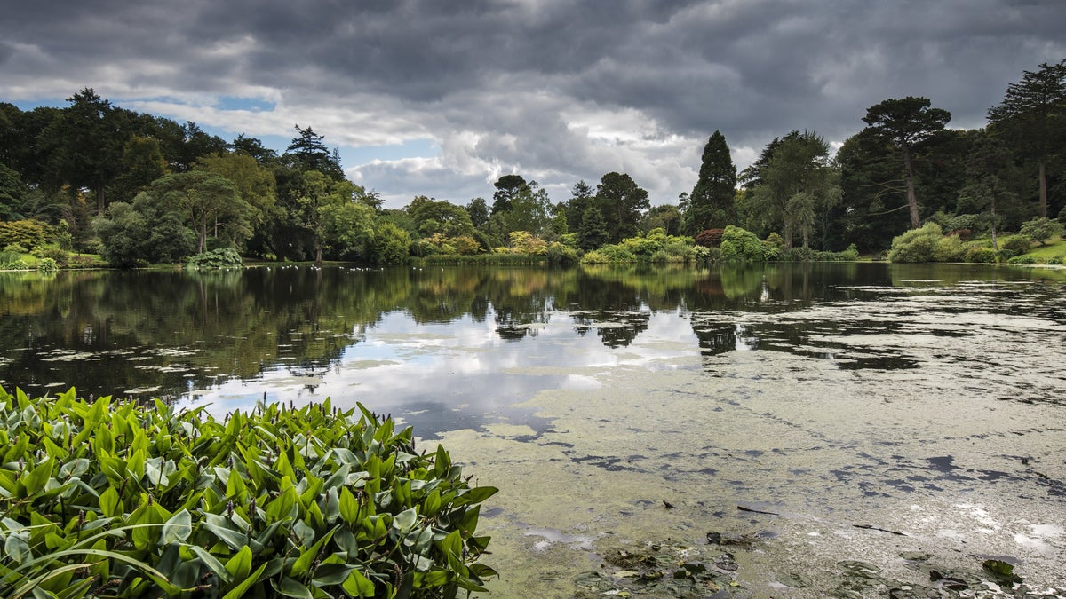 Mount Stewart lake walk | Northern Ireland | National Trust