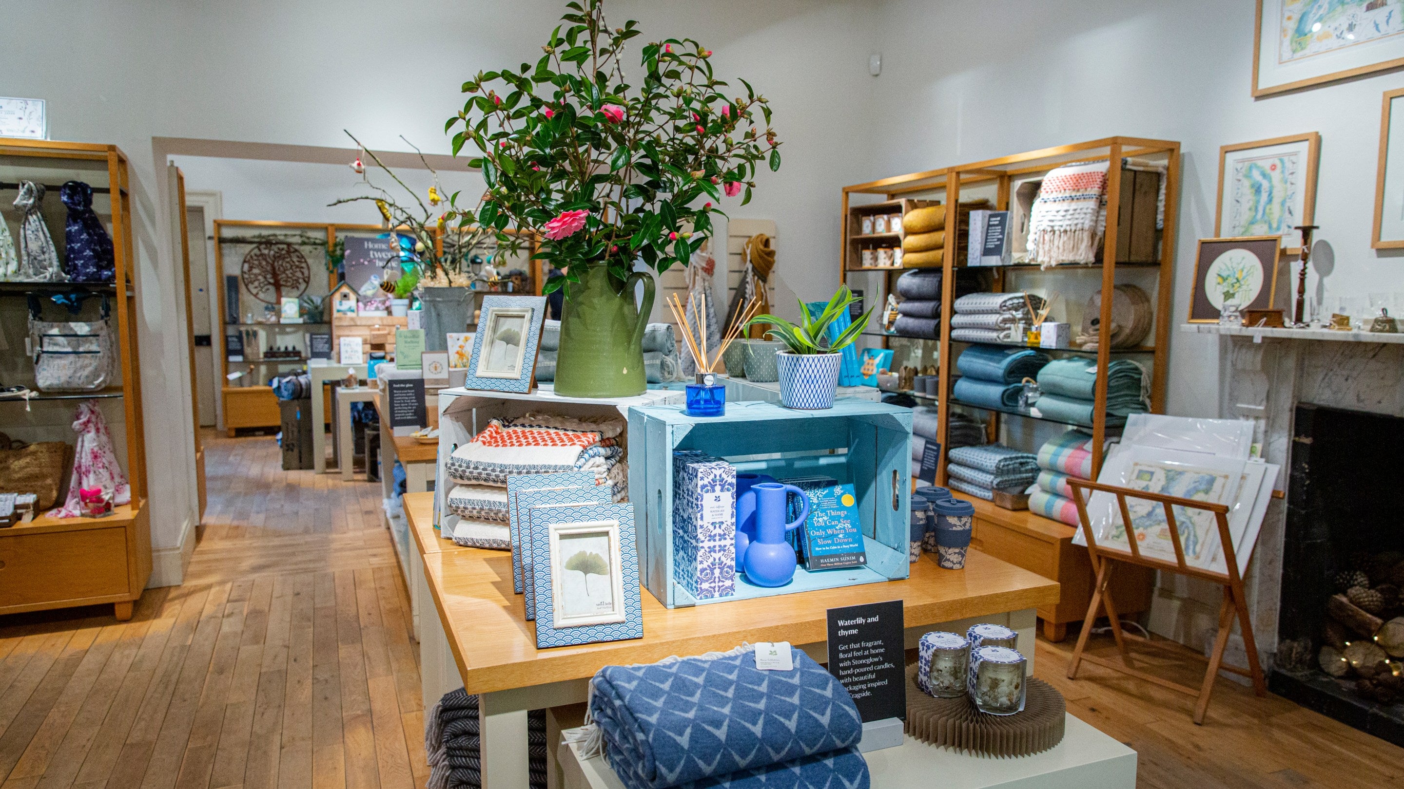 Eating and shopping at Mount Stewart | National Trust