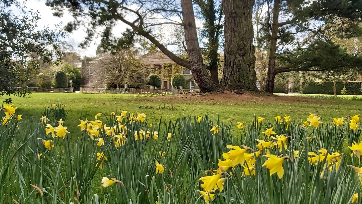 Mount Stewart │ Northern Ireland | National Trust