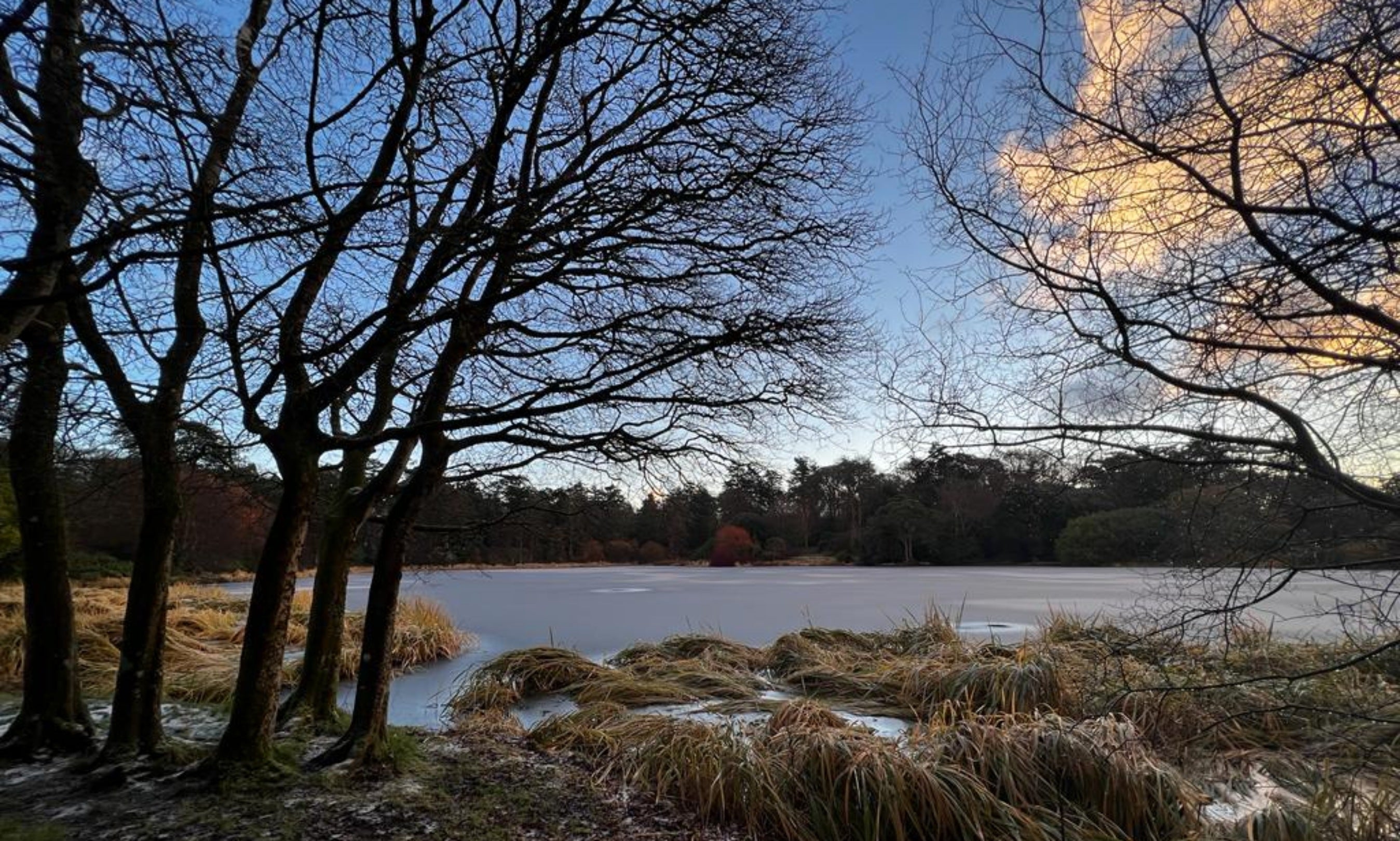 Mount Stewart lake walk | Northern Ireland | National Trust
