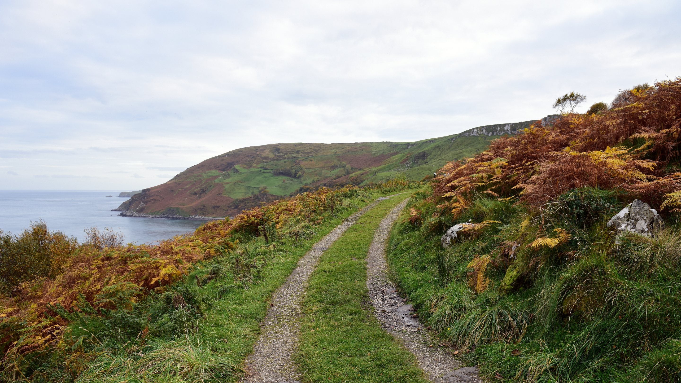 Protecting our environment and climate | National Trust